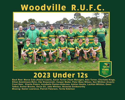 HOME | WOODVILLE WASPS RUFC