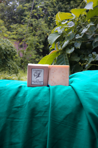 Handmade Goat Milk Tea Tree Soap with Oatmeal – Moisturizing Bar (140gm ...