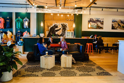 HOME | Wild Coffee Company