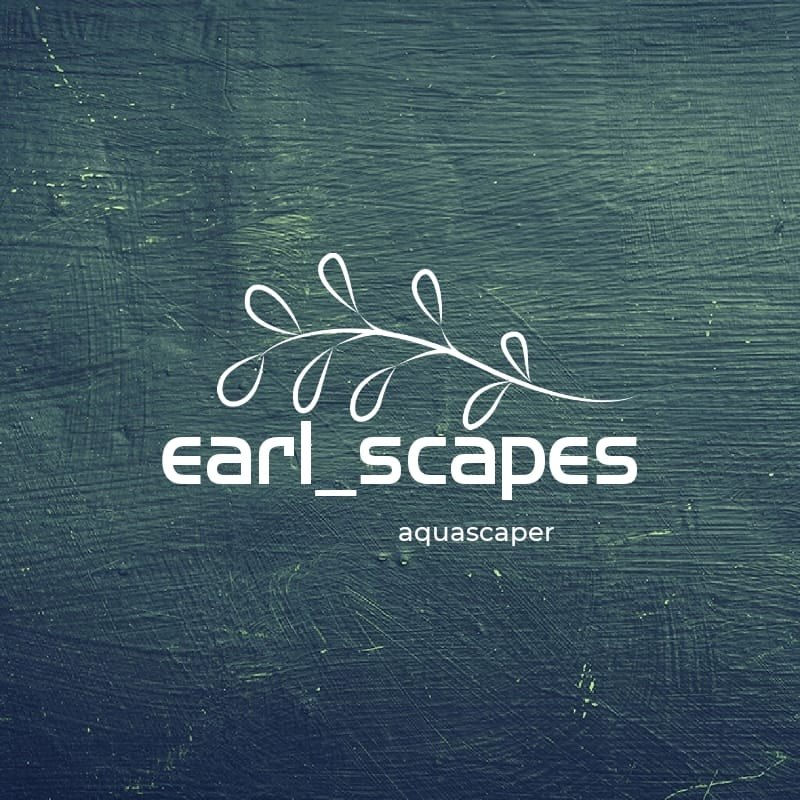 Meet the Aquascapers, Daniel Earl of Earl Scapes