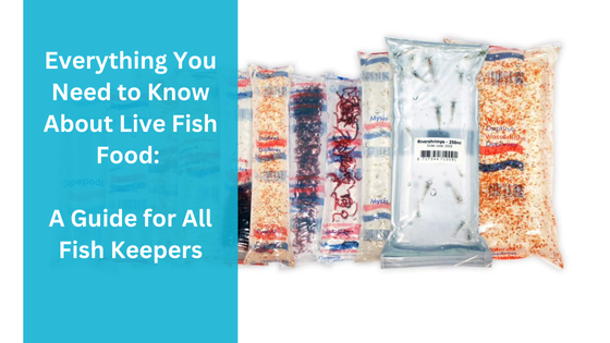Everything You Need to Know About Live Fish Food: A Guide for All Fish ...