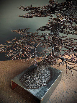 Photo Gallery - Metal Tree Sculptures | DP Tree Sculptures