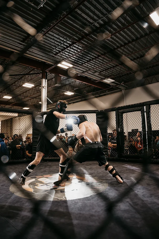 Exploring Different Combat Sports: How MMA Stands Out