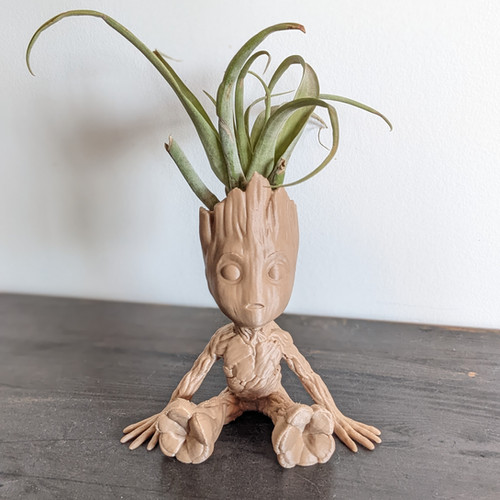 Groot Planter | Wildflower Greenhous