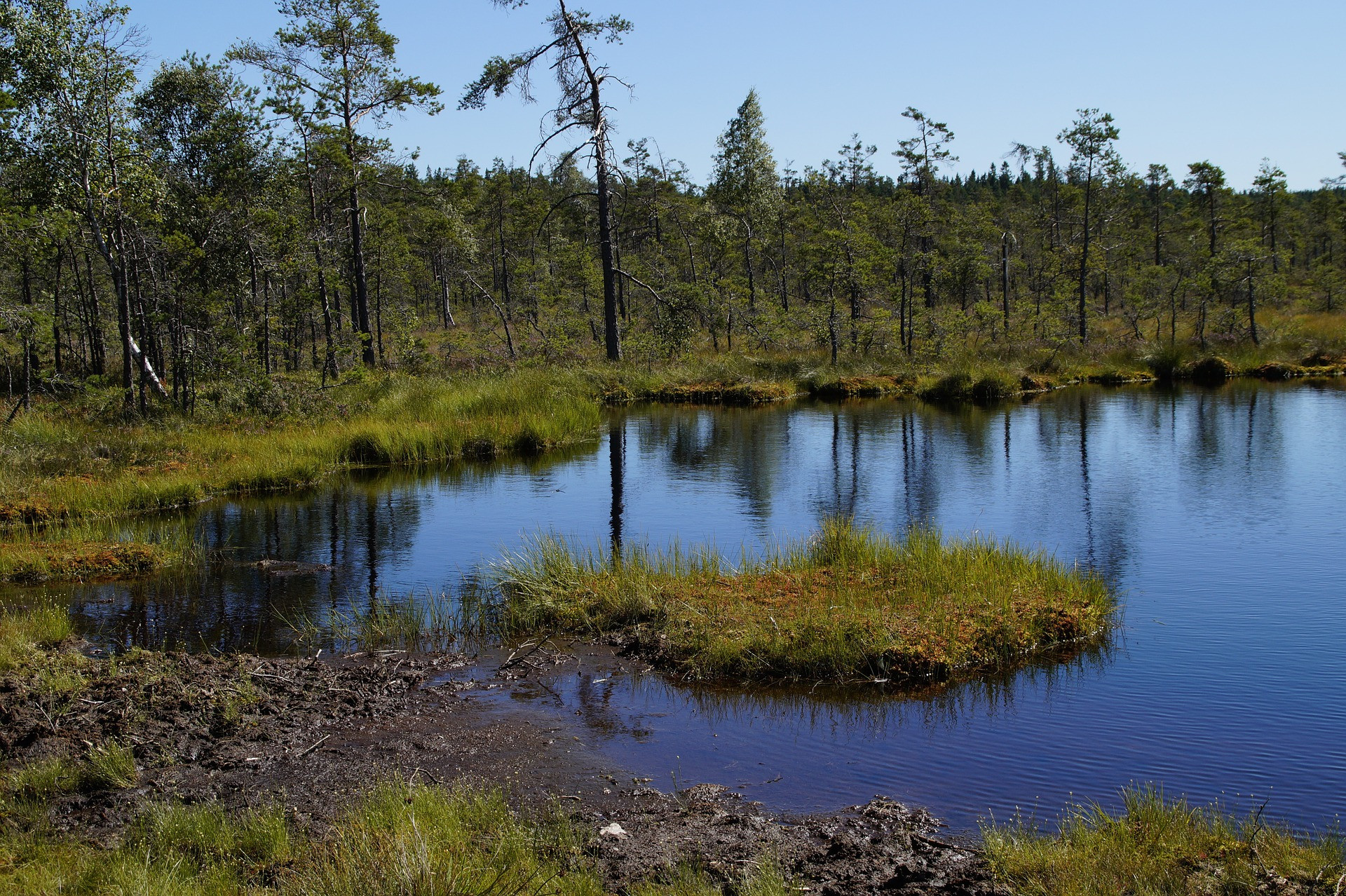 Mapping Coastal Wetland Biomass from High Resolution Unmanned Aerial ...
