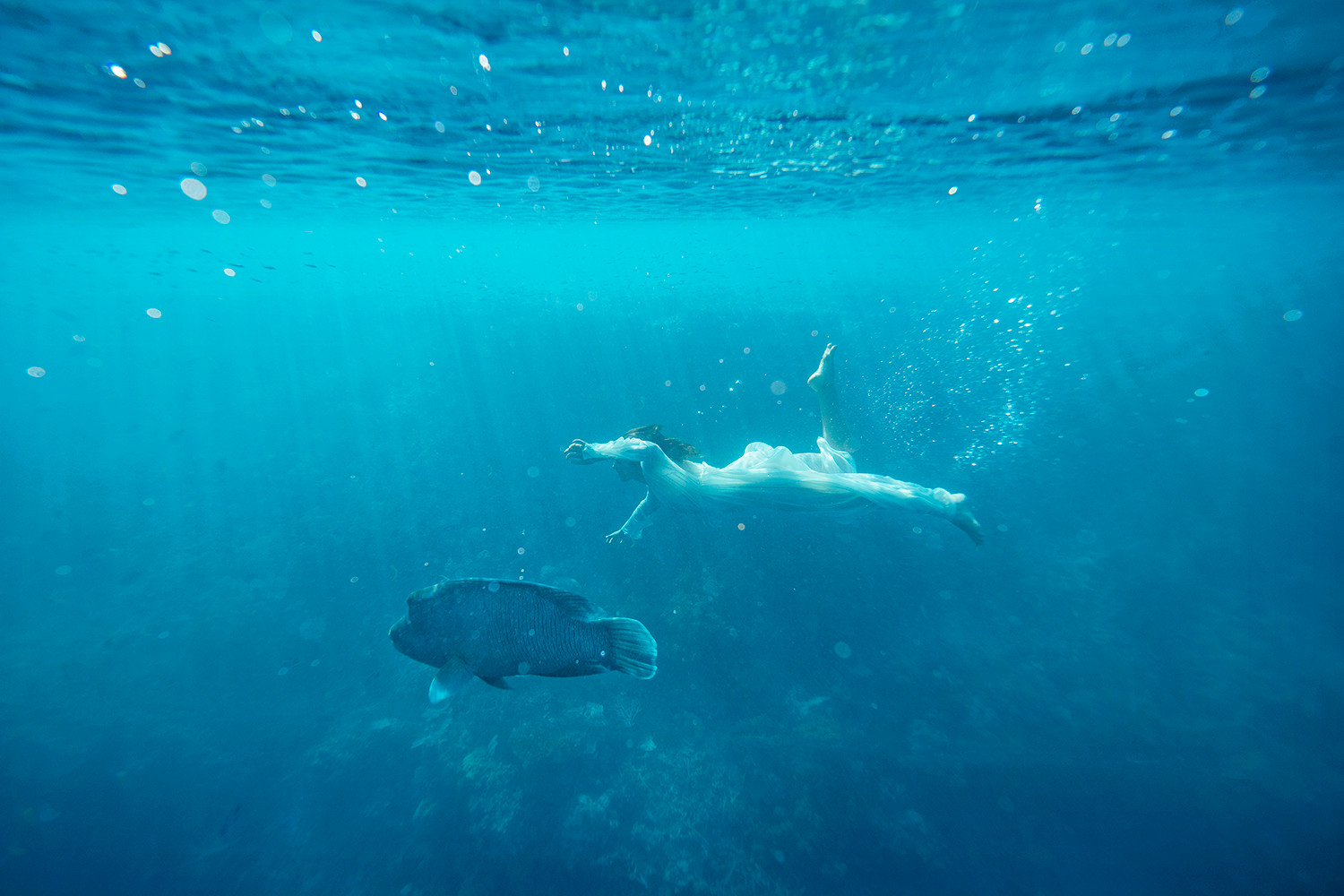 Maggie + The Mermaid: Hardy Reef - Great Barrier Reef, Australia