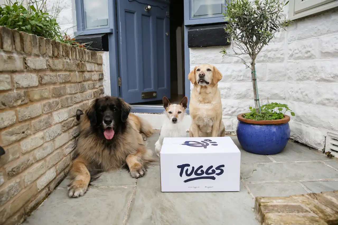 Tuggs Dog Food | We Walk Woofs | Tuggs Insect Based Dog Food