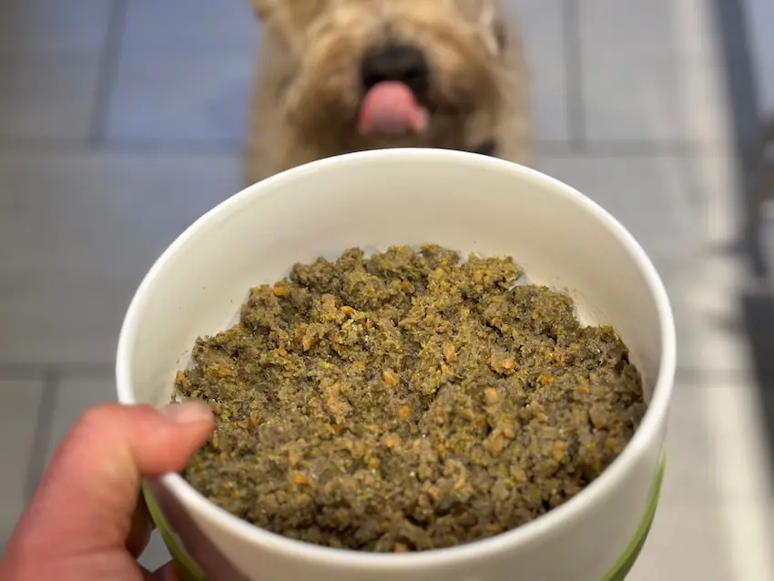 Tuggs Dog Food | We Walk Woofs | Tuggs Insect Based Dog Food