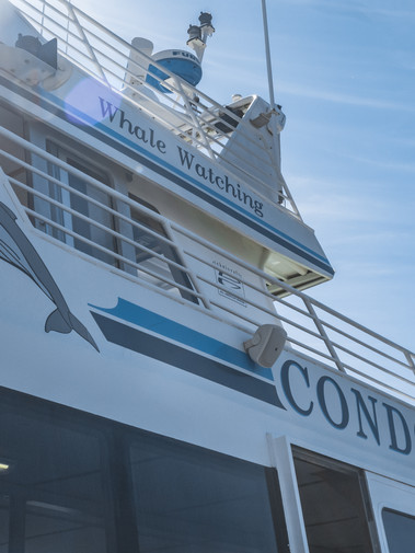 The Condor Express Boat | Condor Express