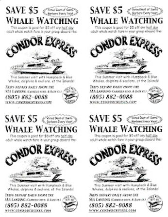 California Whale Watching scores another wonderful day on the Condor ...