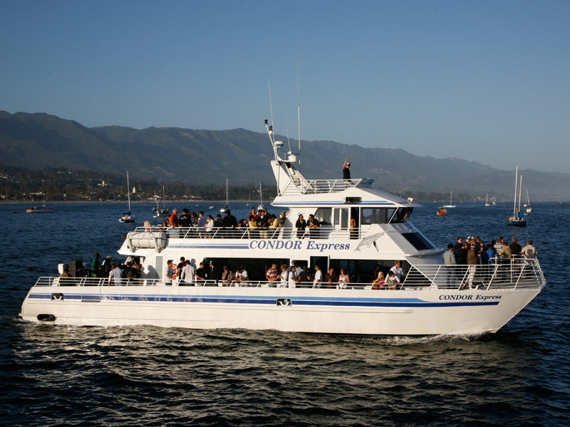 Whale Watching | Condor Express