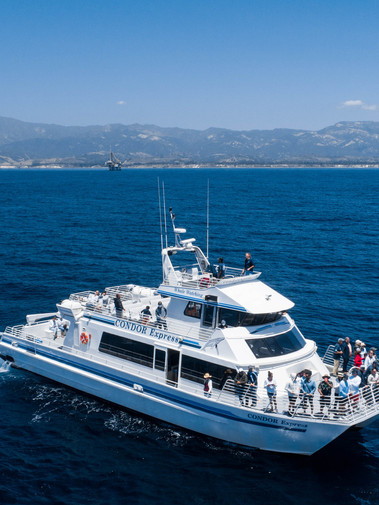 The Condor Express Boat | Condor Express