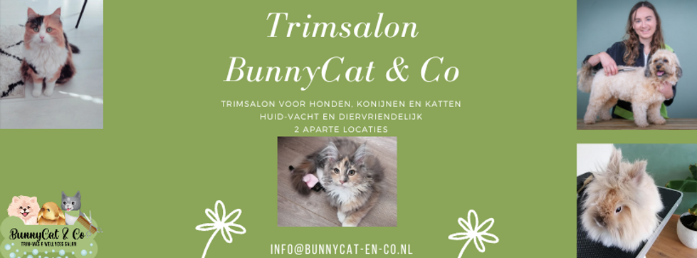 Honden, konijnen en katten trimsalon in Raalte