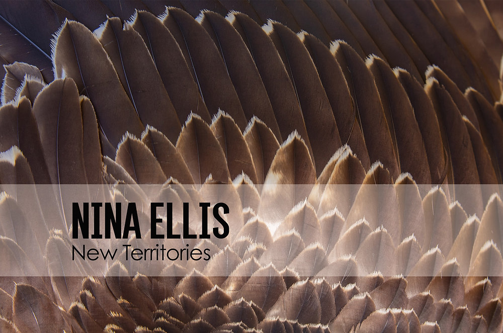New Territories by Nina Ellis