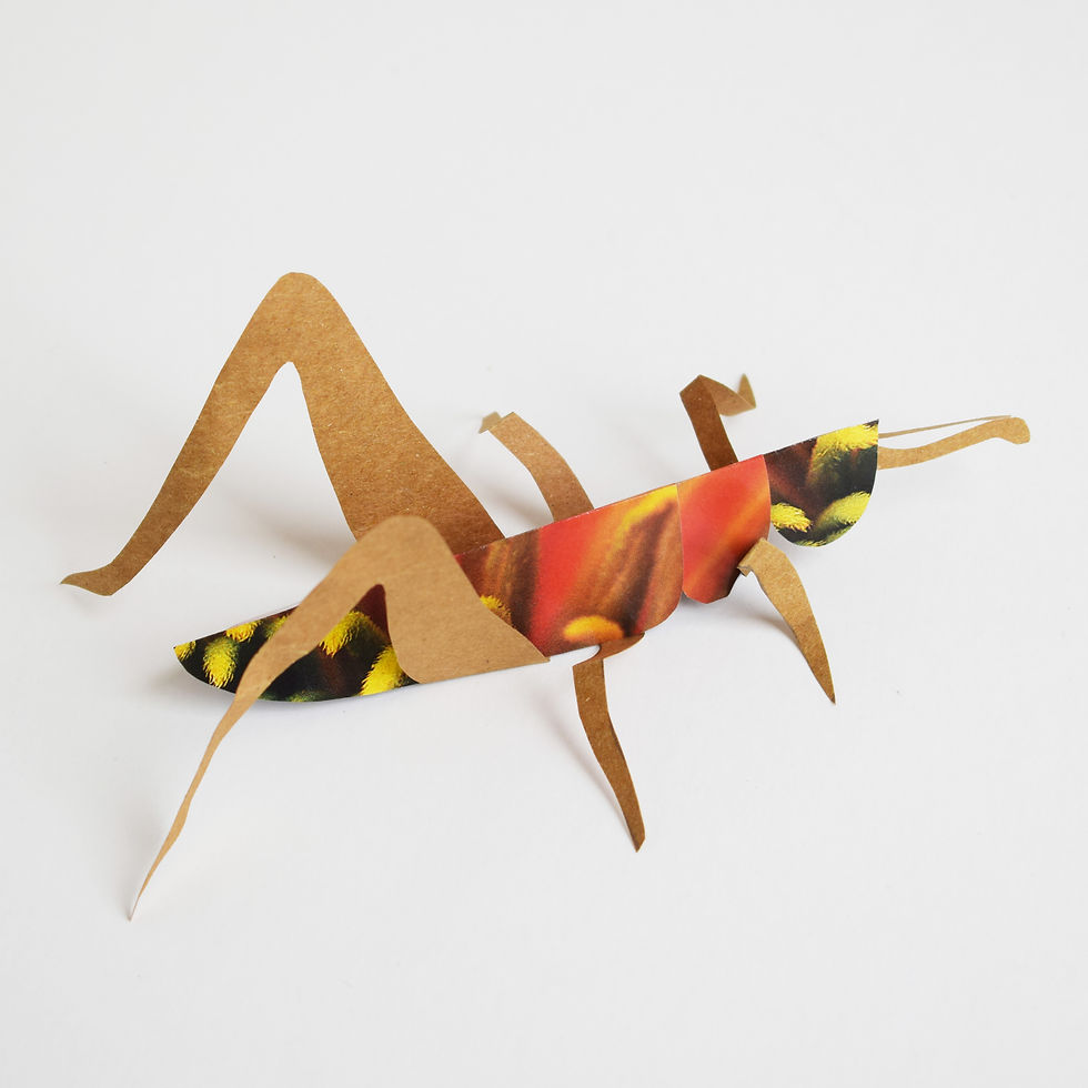 Make Your Own Scrap Paper Insects