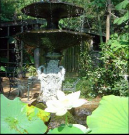 McCartys Pottery | The Gallery | Merigold, MS