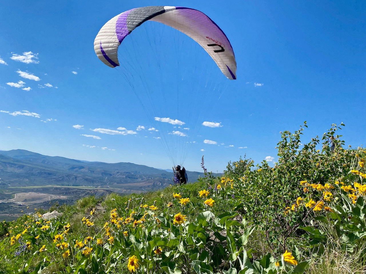 Paragliding Wolcott