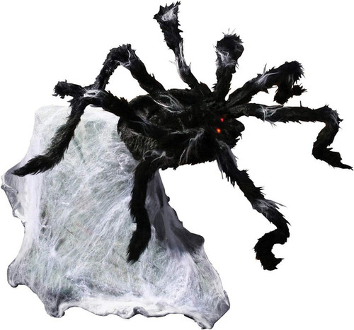 Giant Jumping Spider | Masquerade CC