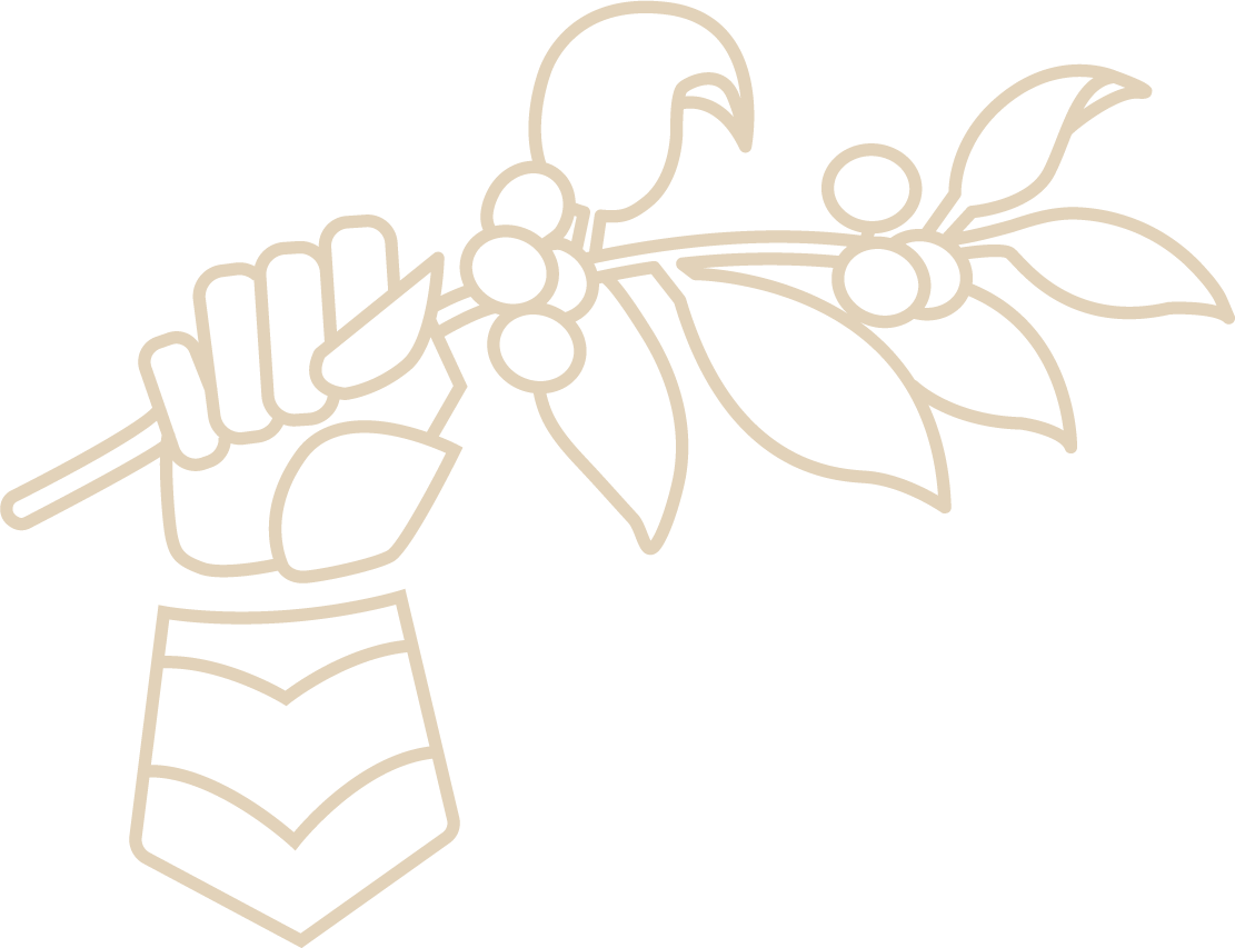 Cavalier Speciality Coffee Roaster | cavalierroasters.com | Queensland