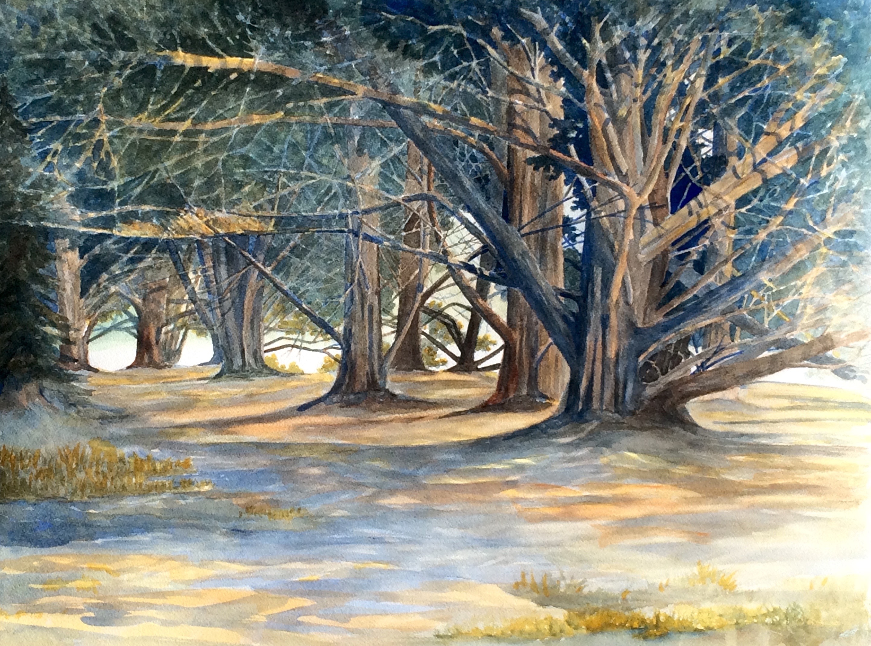 Home | robert-c-davidson