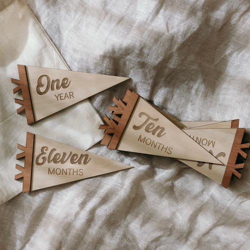 Monthly Milestone Pennant Flags | Array of Whimsy