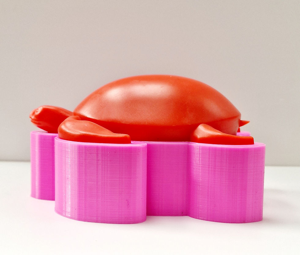 Large turtle silicone mould | Devon Dotting