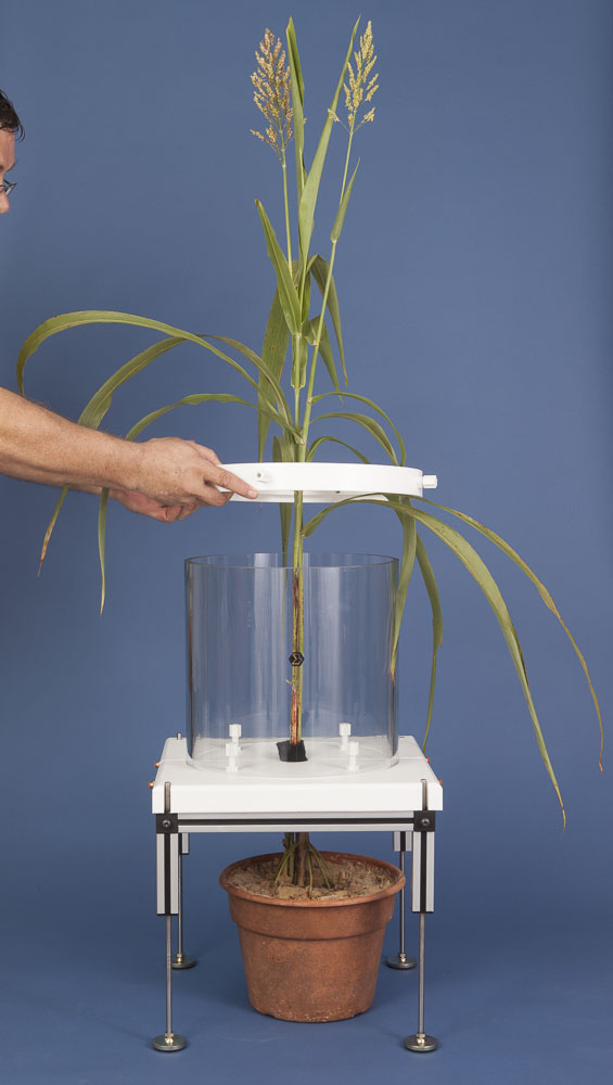 Sigma Scientific LLC, Micanopy, FL Volatile Collection Chamber & Traps