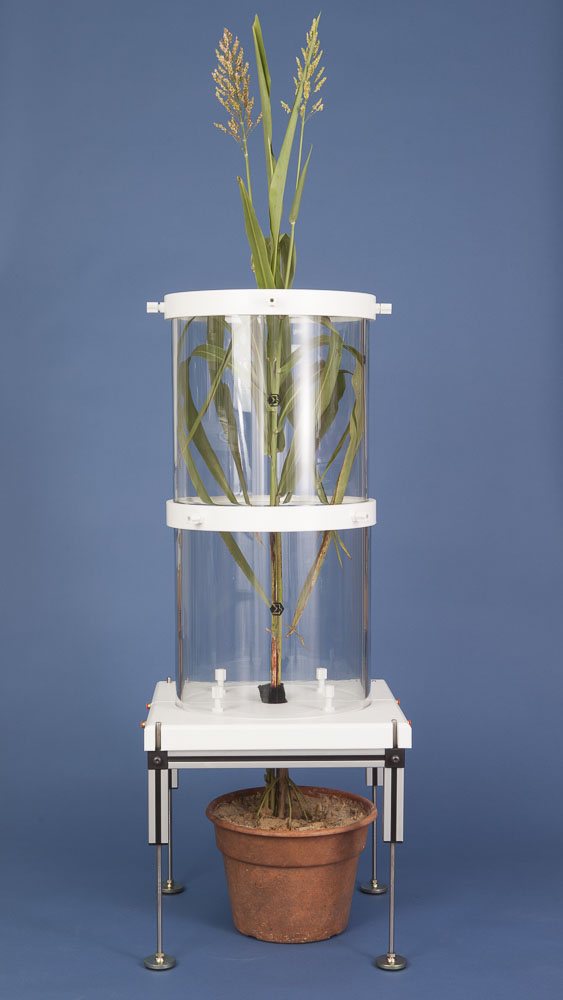 Sigma Scientific LLC, Micanopy, FL Volatile Collection Chamber & Traps