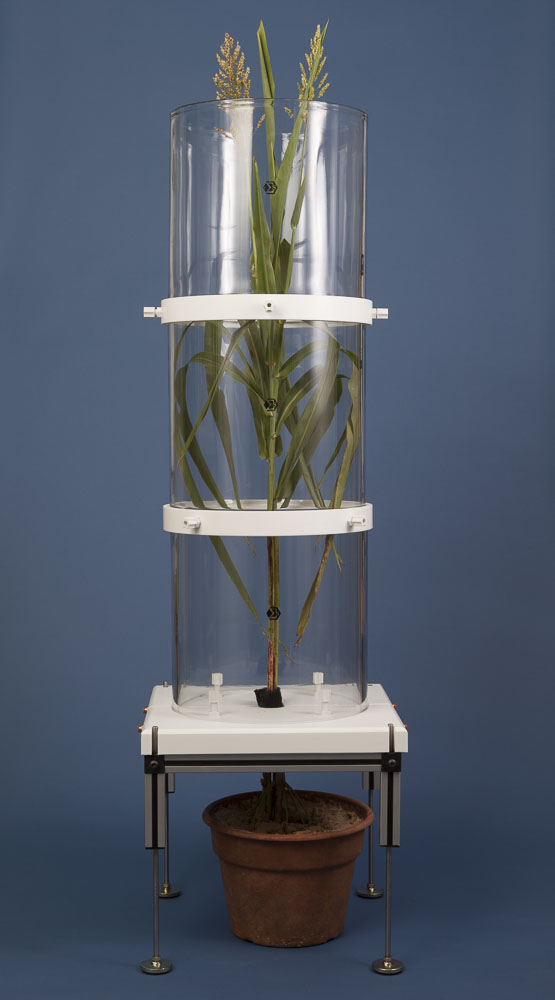 Sigma Scientific LLC, Micanopy, FL Volatile Collection Chamber & Traps