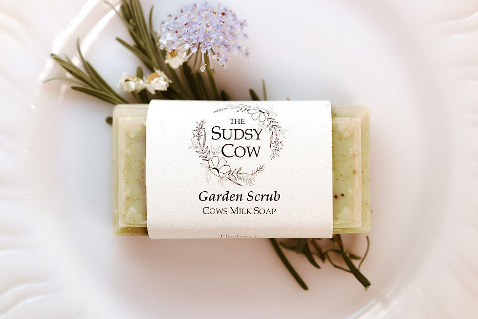 Cows Milk Soap | The Sudsy Cow | New Hampshire