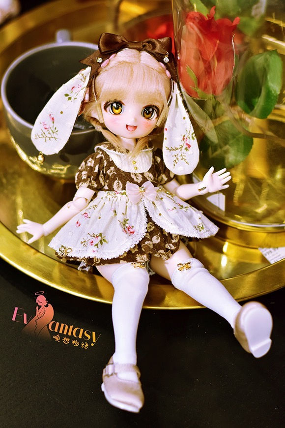 Evantasy 1/6 | Jane‘s dolland