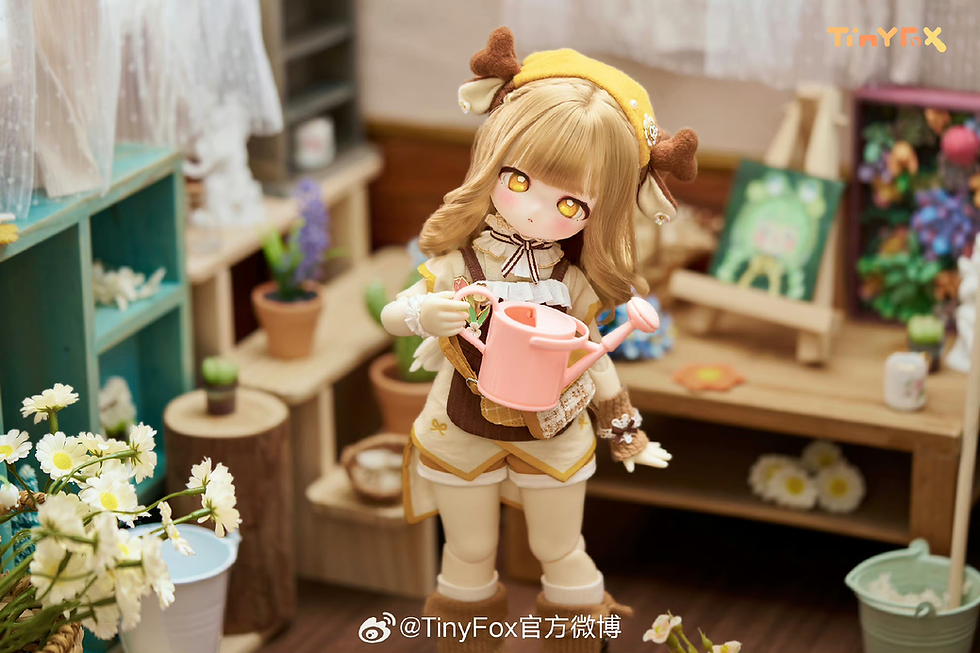 In stock BJD | Jane‘s dolland