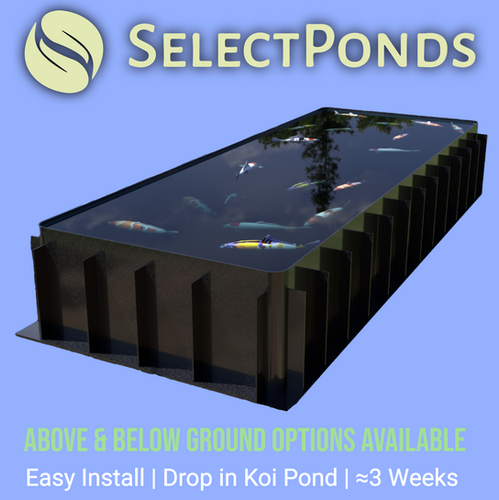 Rectangular Poly Pond | SelectPonds