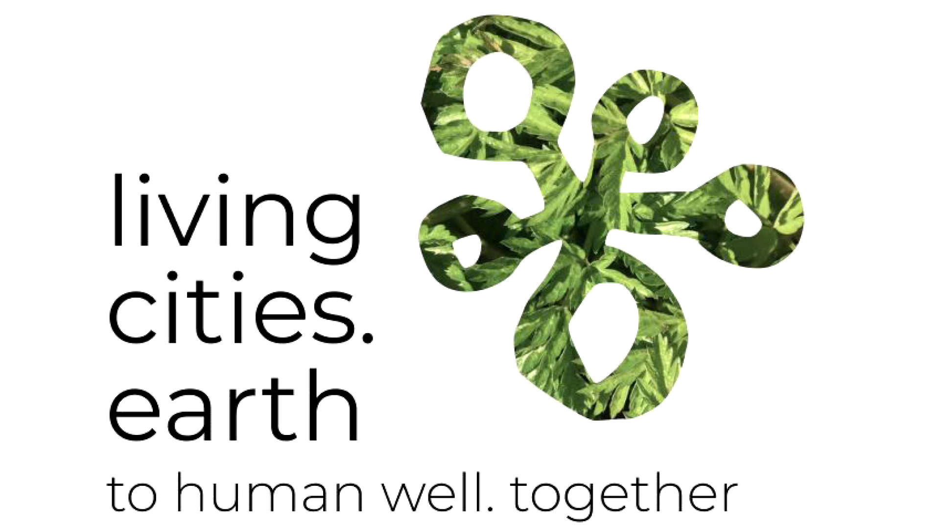 Home | Livingcities Earth