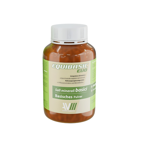 Equibasic Evo | Avm Supplements