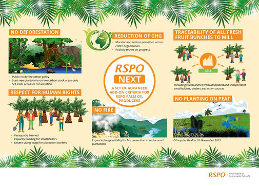 RSPO / MSPO | Yhyconsultancy