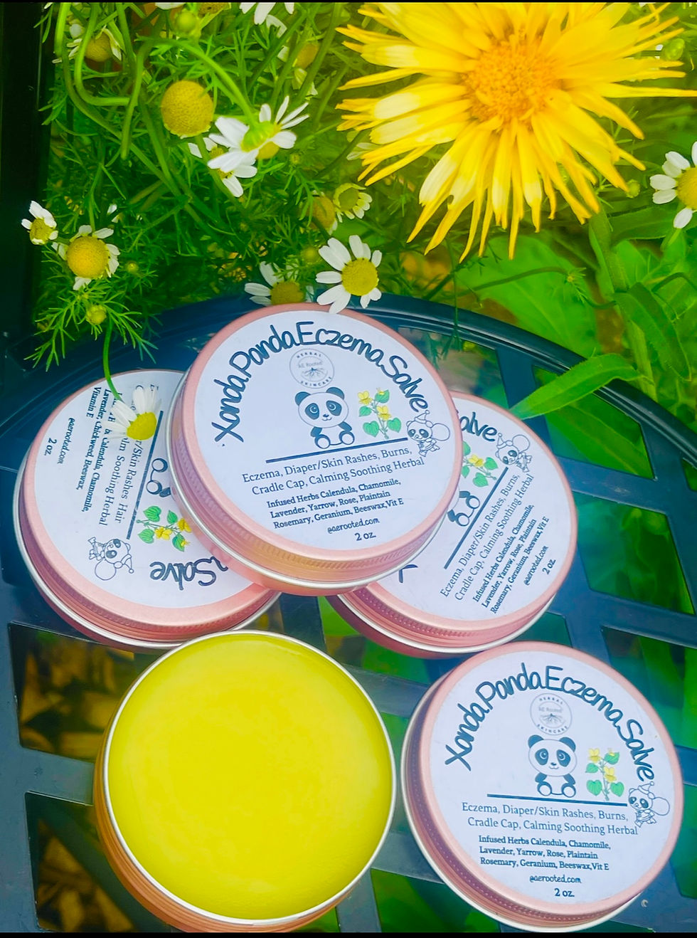 Xanda Panda Calendula Salve | AE ROOTED Herbal