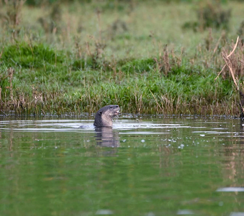 January 2026 - Week 2 Roundup