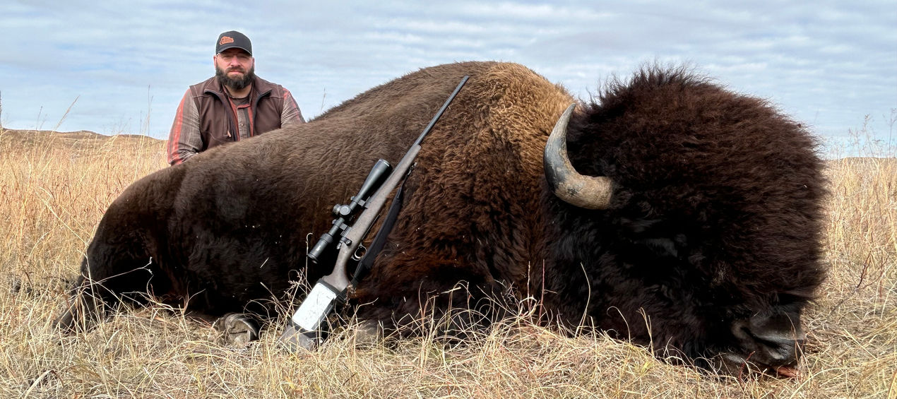 Bison | North Creek Ranch