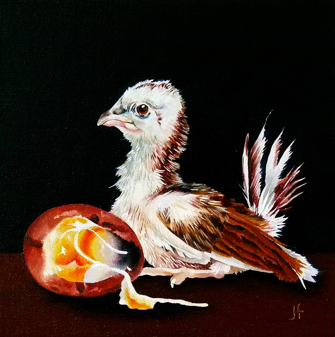 Jane Ford | WING Art Gallery | East Sussex