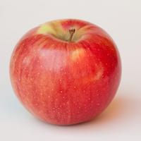 malus-red-prairie-spy-red-prairie-spy-apple