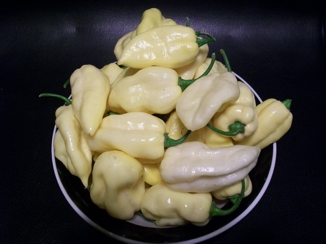 capisicum-bhut-jolokia-white-white-ghost-pepper