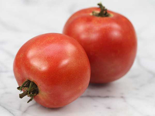 Tomato 'Arkansas Traveler' ARKANSAS TRAVELER TOMATO | Regular Editor