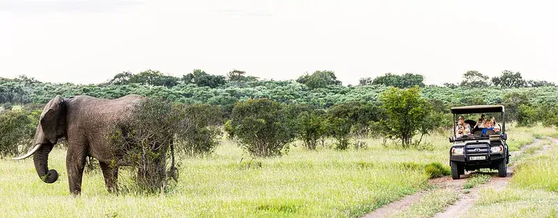 Introduction to Field Guiding | Study Field Guiding Online