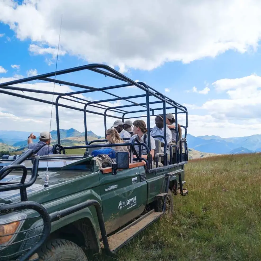 Download our Informative Brochure | Bushwise Field Guides