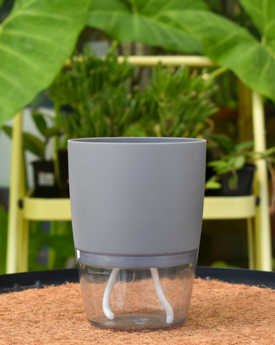 AUTO RIEGO - S | Matera