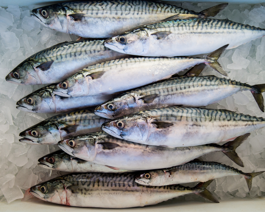 Seafood | Sarasota | Detwiler's Farm Market