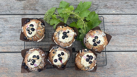 Home | The Vines Cafe