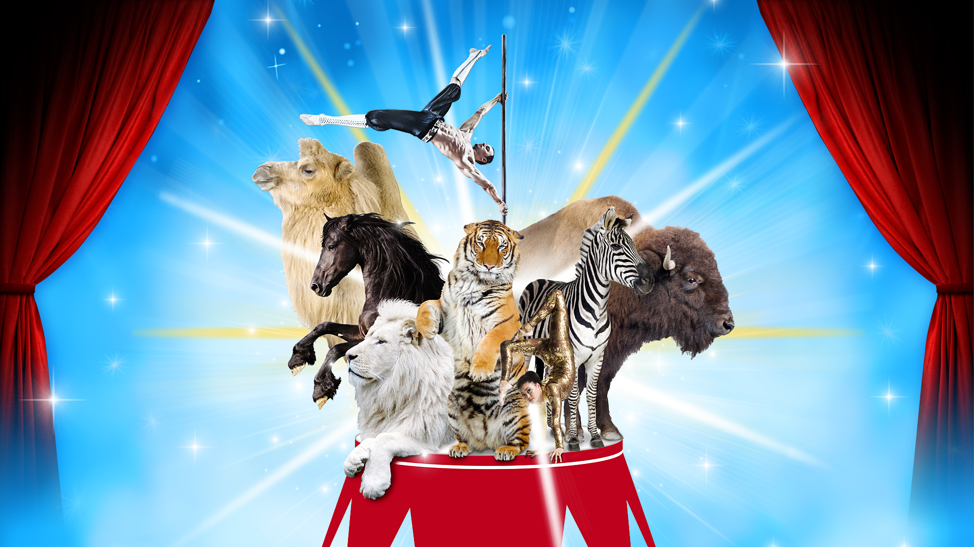 Circus Probst präsentiert Weihnachtscircusse in Gelsenkirchen &Krefeld