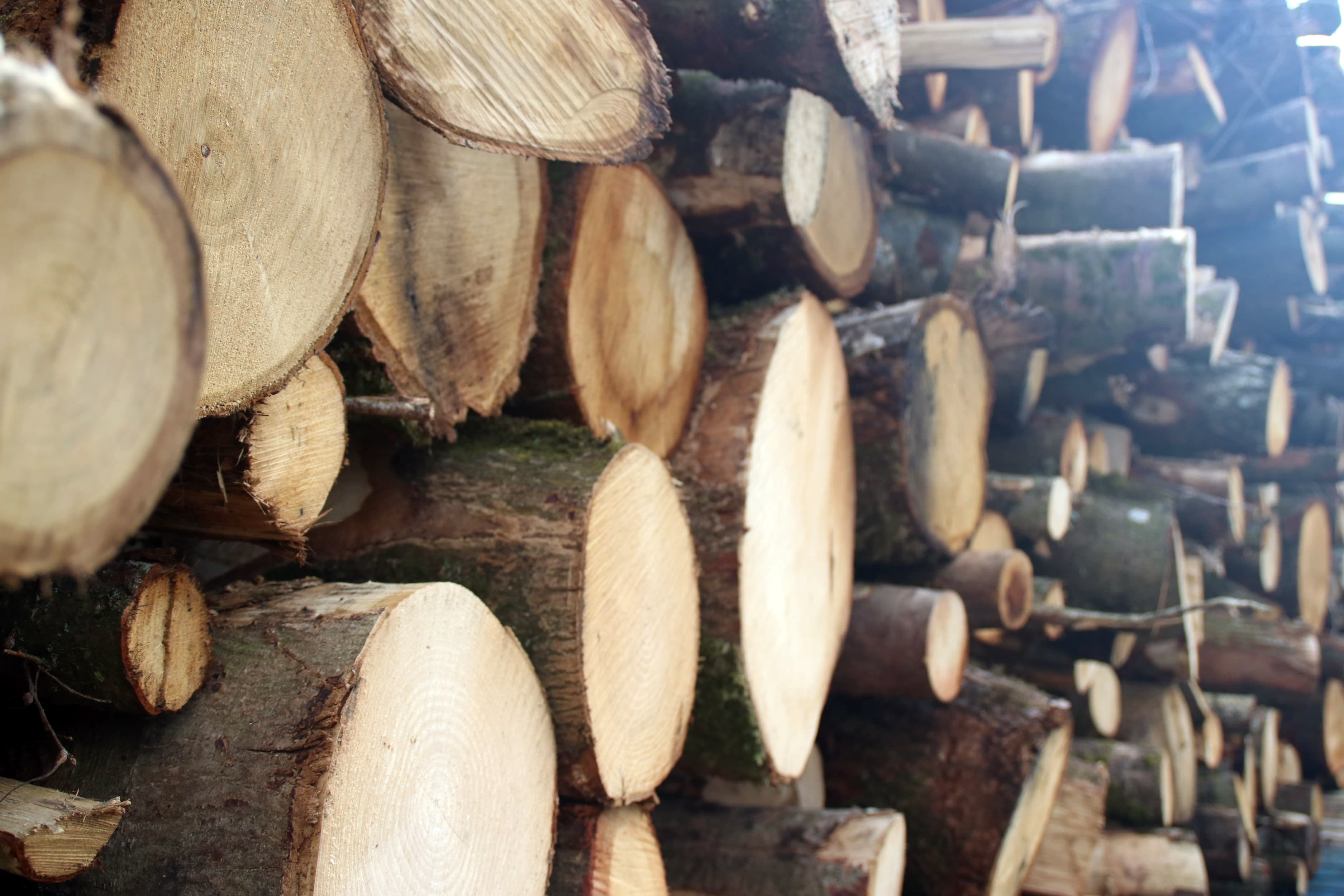 Millers Farm Shop | Kilmington | Devon